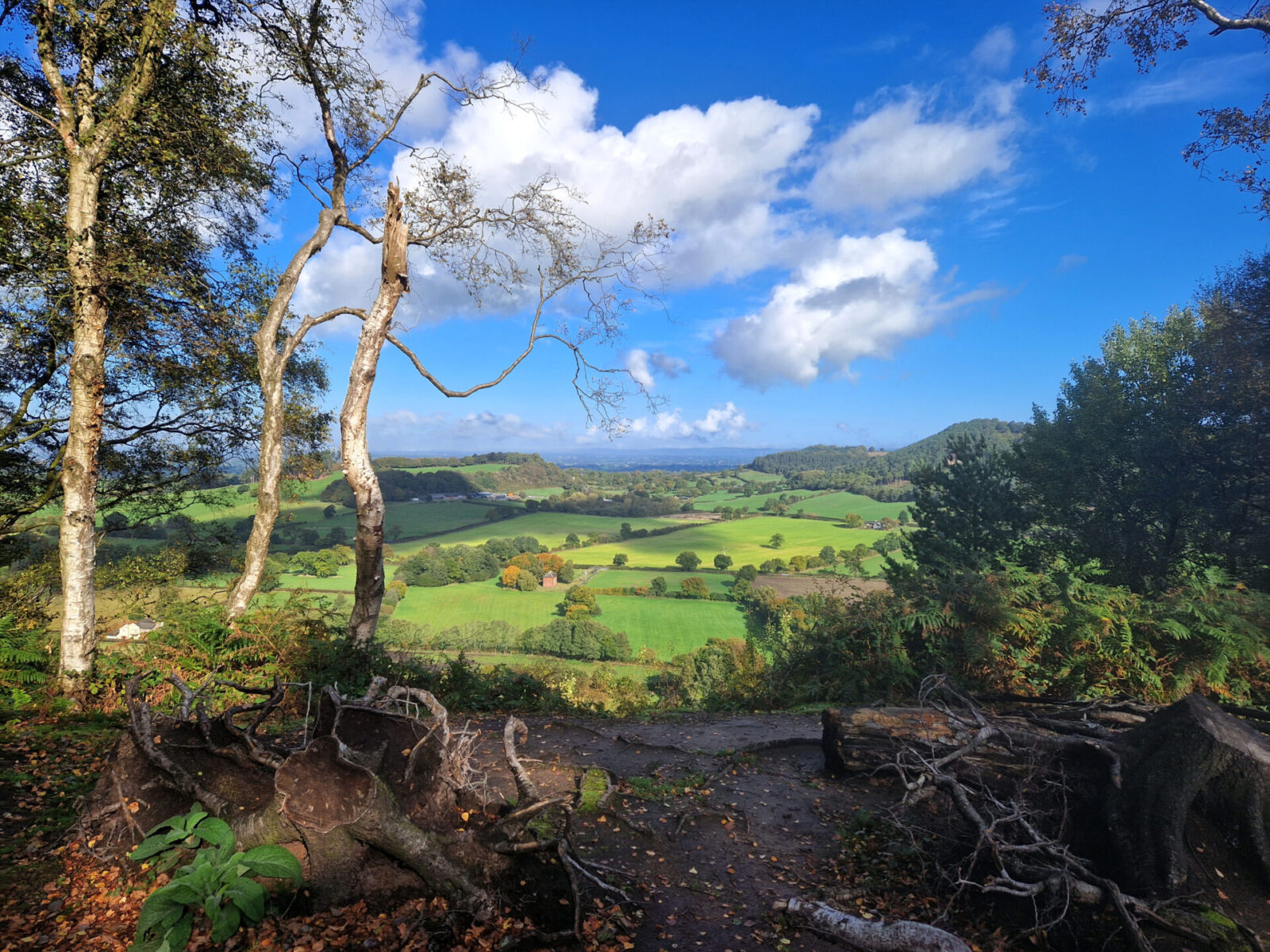 Tarporley & District